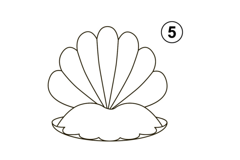 How to Draw a Pearl in 9 Easy Steps