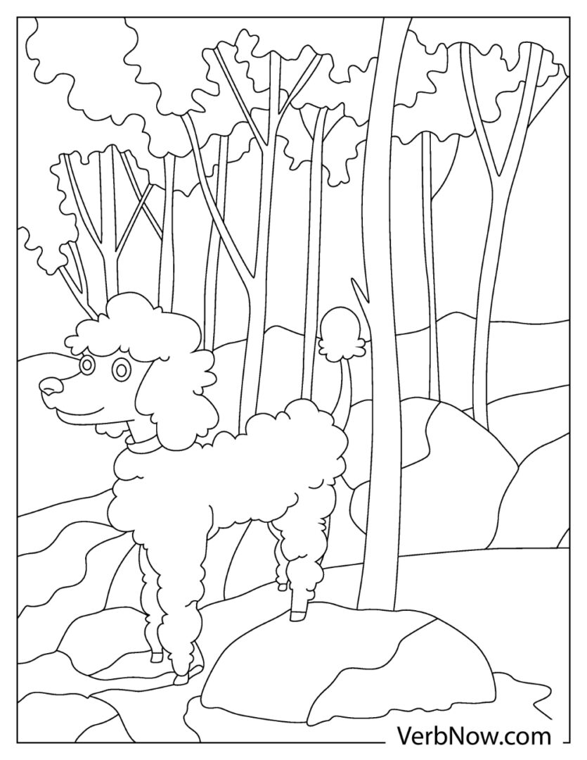 Free POODLE Coloring Pages for Download (Printable PDF)