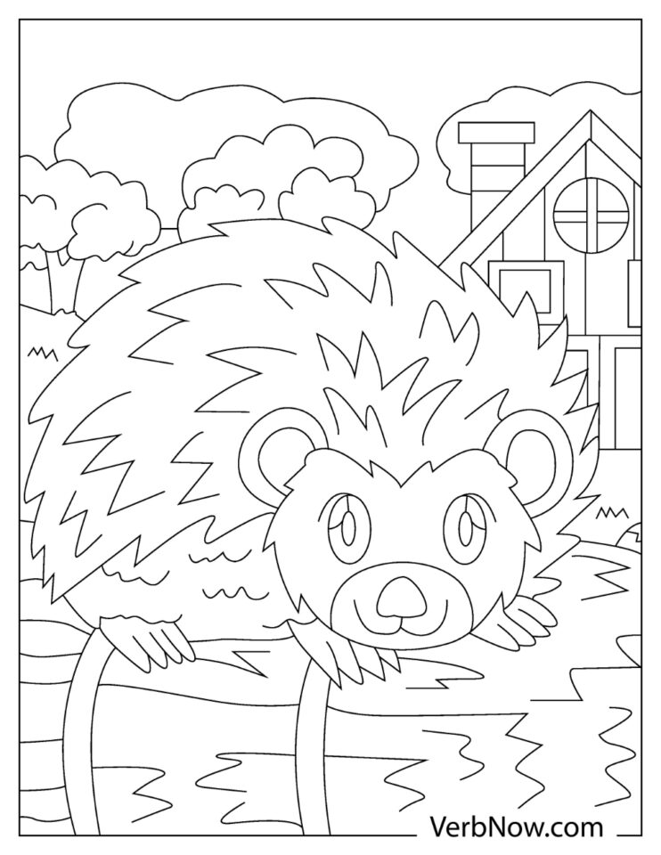 Free PORCUPINE Coloring Pages for Download (Printable PDF)