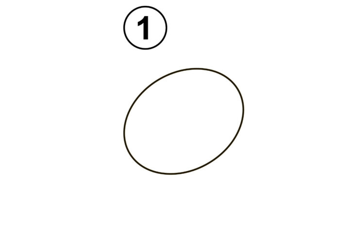How to Draw a Radish in 11 Easy Steps