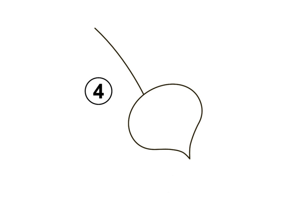 How to Draw a Radish in 11 Easy Steps