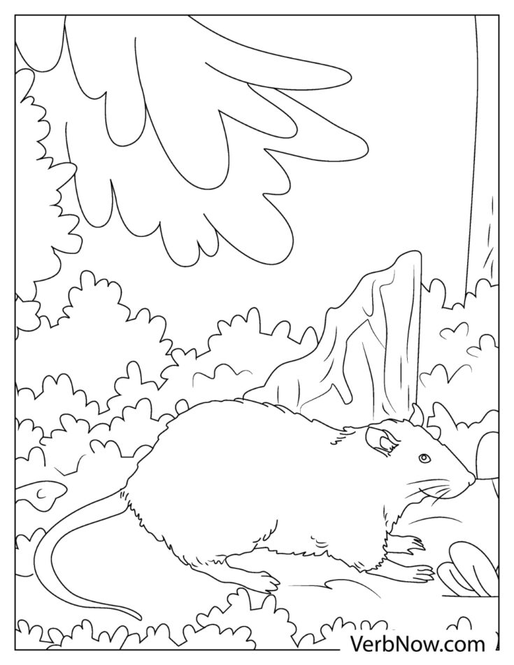 Free RAT Coloring Pages for Download (Printable PDF)