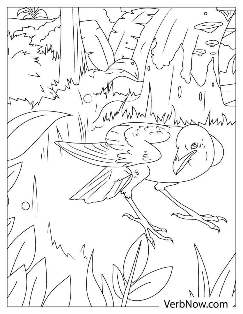 Free RAVEN Coloring Pages & Book for Download (Printable PDF) - VerbNow