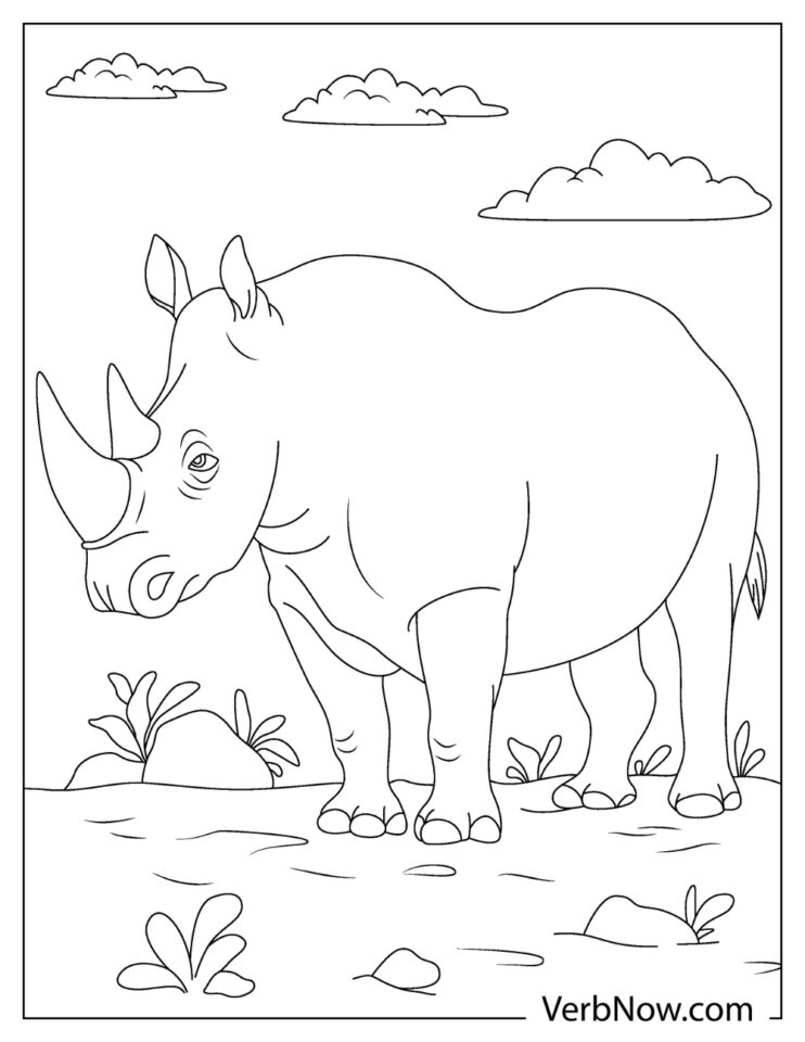 22 RHINOCEROS Coloring Pages & Book for Download (Printable PDF)