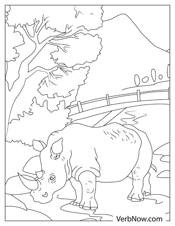 22 RHINOCEROS Coloring Pages & Book for Download (Printable PDF)