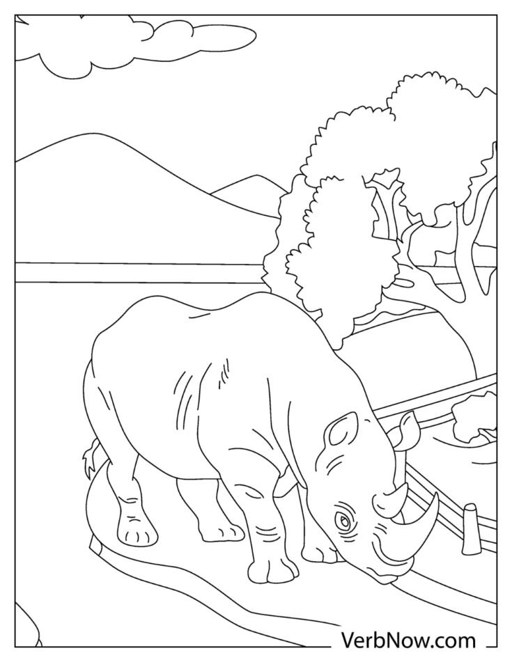 22 RHINOCEROS Coloring Pages & Book for Download (Printable PDF)