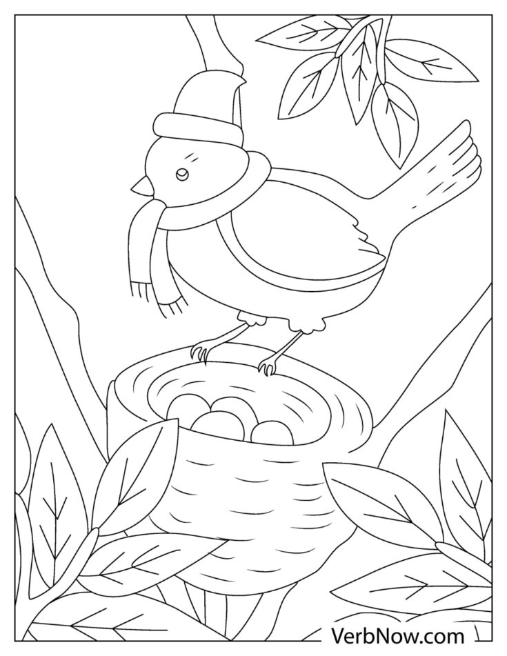 Free ROBIN Coloring Pages for Download (Printable PDF)