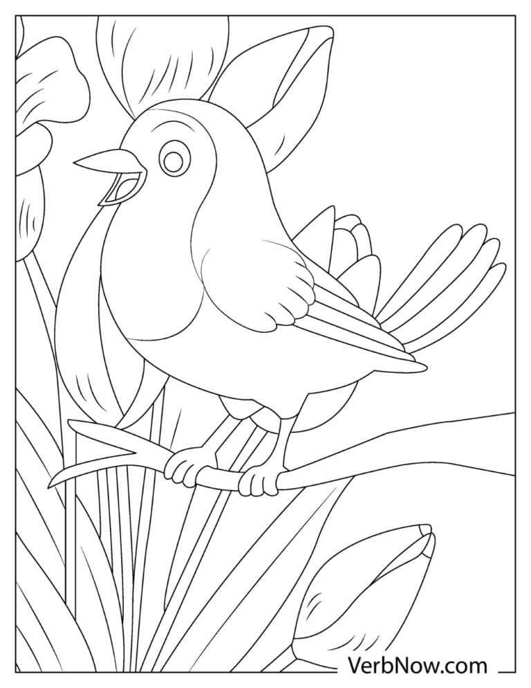 Free ROBIN Coloring Pages for Download (Printable PDF)
