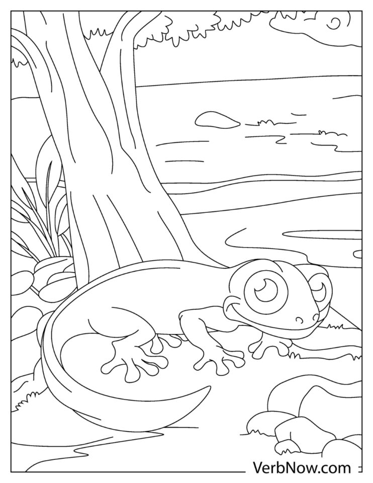 Free SALAMANDER Coloring Pages & Book for Download (Printable PDF ...