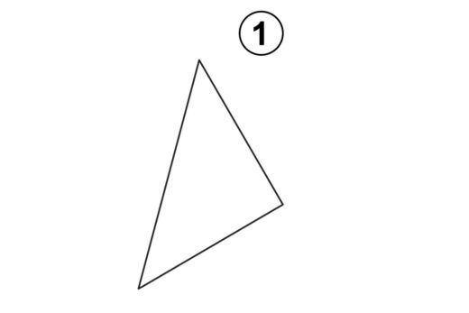 How to Draw a Shell in 11 Easy Steps