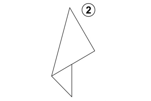 How to Draw a Shell in 11 Easy Steps