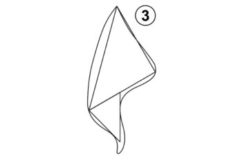 How to Draw a Shell in 11 Easy Steps