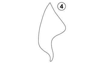 How to Draw a Shell in 11 Easy Steps