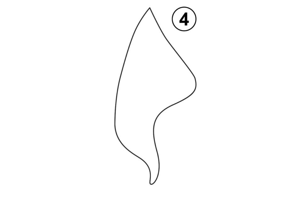 How to Draw a Shell in 11 Easy Steps