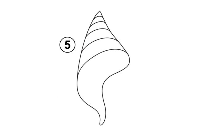 How to Draw a Shell in 11 Easy Steps