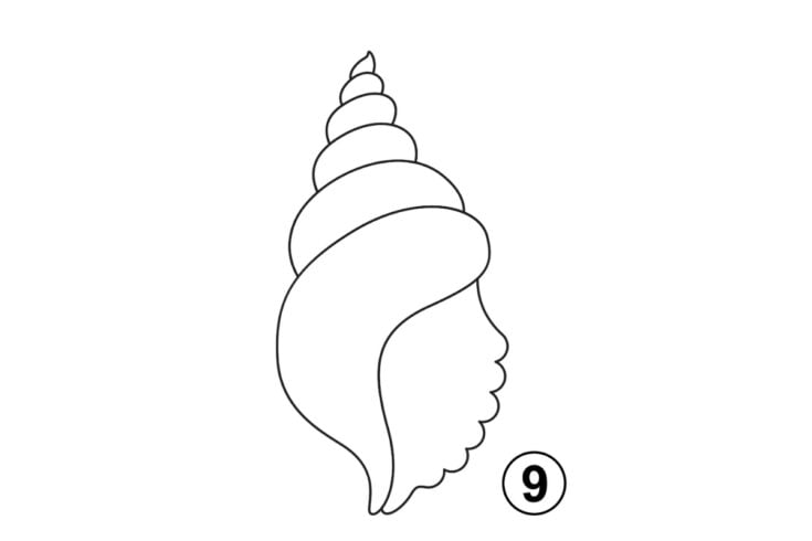 How to Draw a Shell in 11 Easy Steps