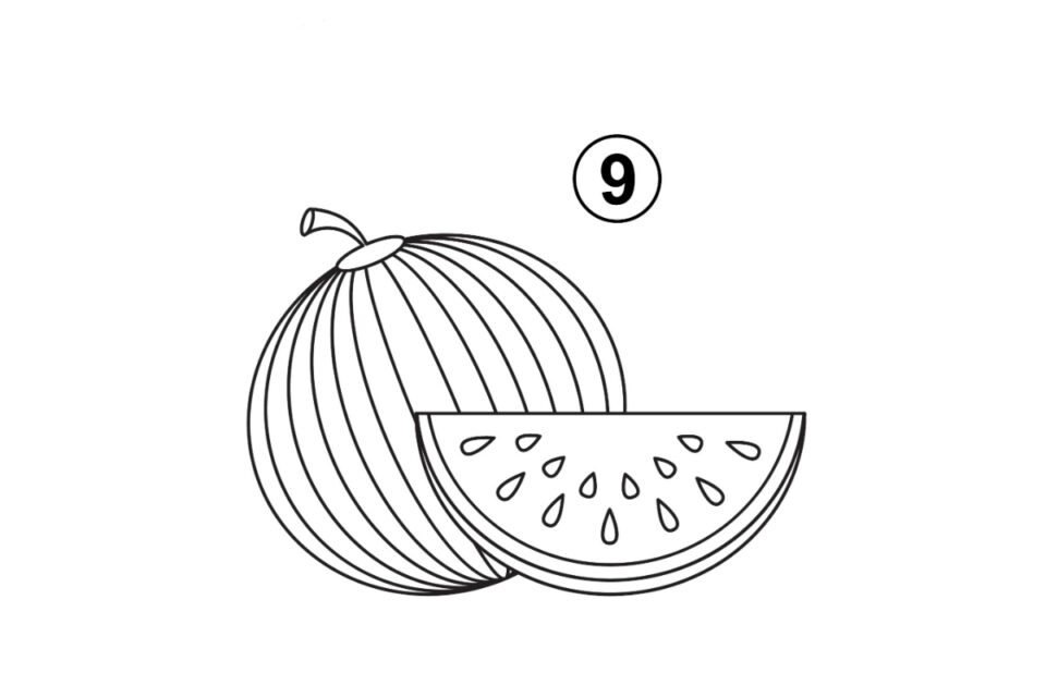 How to Draw a Watermelon in 10 Easy Steps - VerbNow