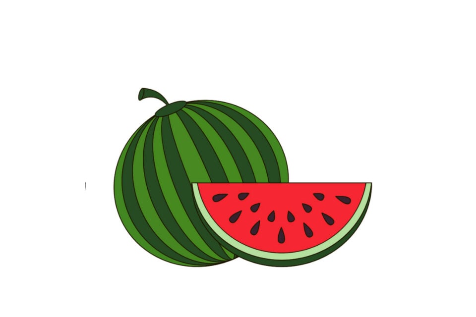 How to Draw a Watermelon in 10 Easy Steps