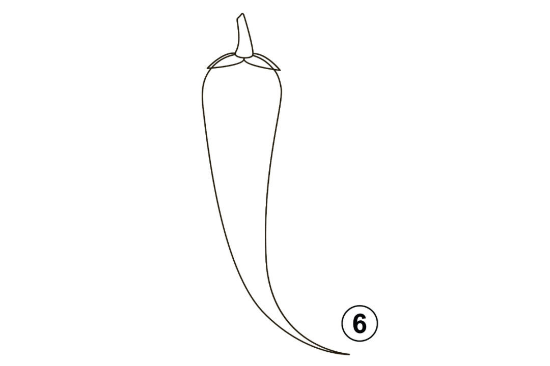 How to Draw a Chili Pepper in 10 Easy Steps