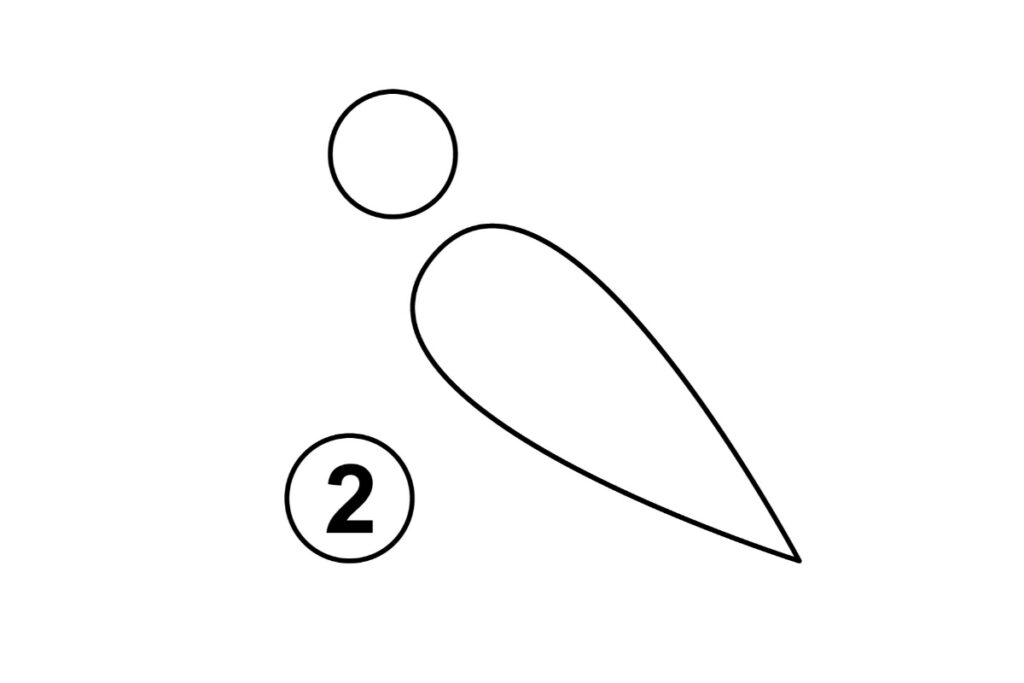 How to Draw a Hummingbird in 12 Easy Steps