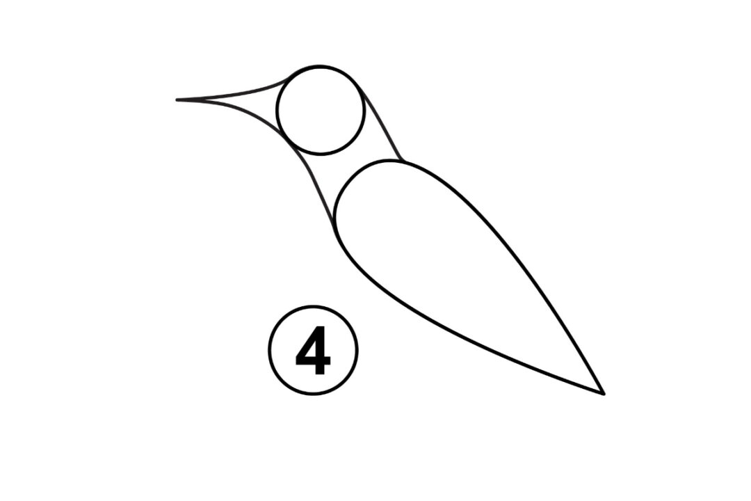 How to Draw a Hummingbird in 12 Easy Steps