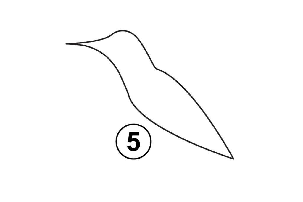How to Draw a Hummingbird in 12 Easy Steps
