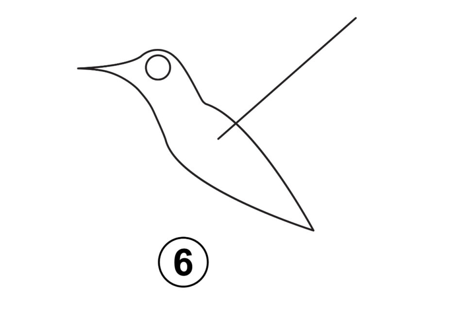 How to Draw a Hummingbird in 12 Easy Steps