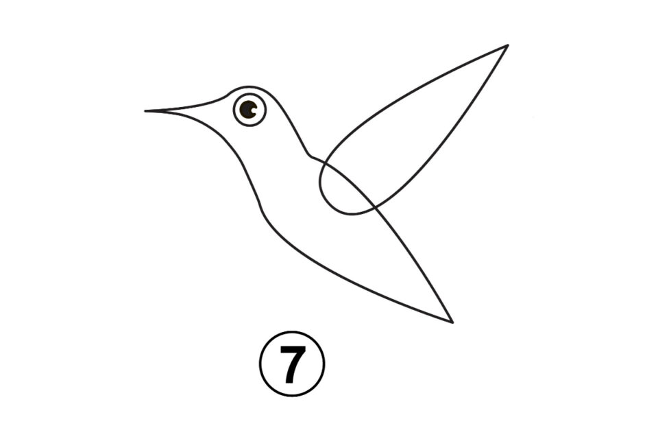How to Draw a Hummingbird in 12 Easy Steps