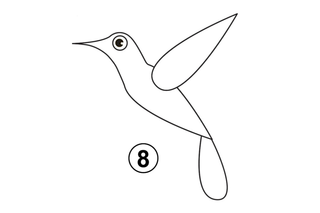 How to Draw a Hummingbird in 12 Easy Steps