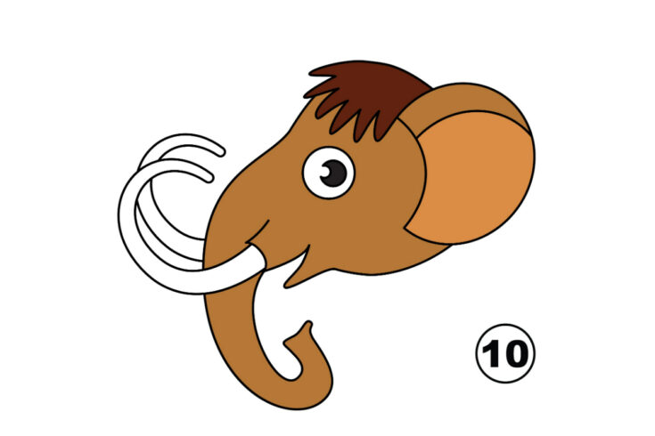 How to Draw a Woolly Mammoth in 10 Easy Steps - VerbNow