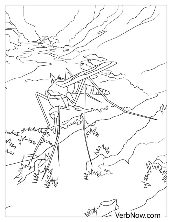 Free MOSQUITO Coloring Pages for Download (Printable PDF)