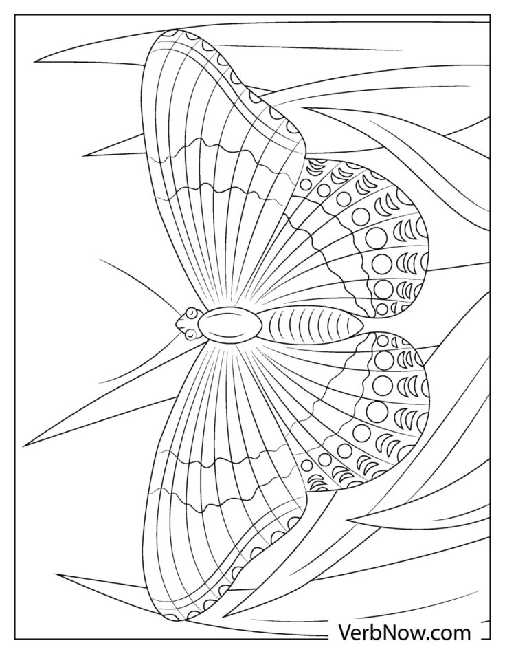 Free MOTH Coloring Pages & Book for Download (Printable PDF) - VerbNow