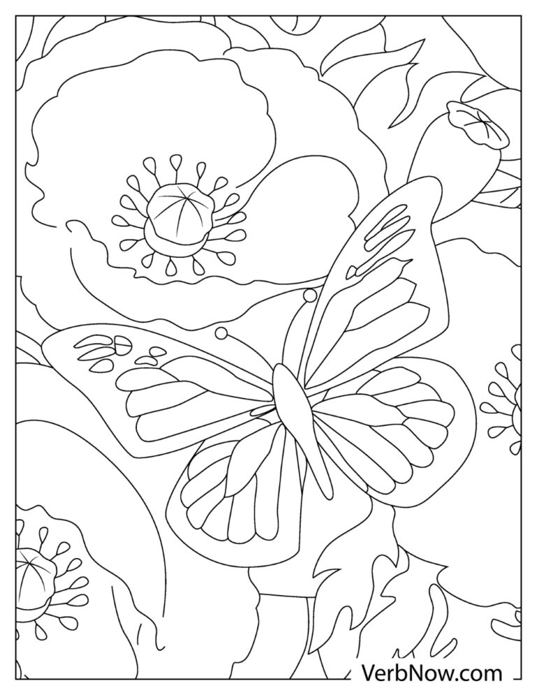 Free MOTH Coloring Pages for Download (Printable PDF)