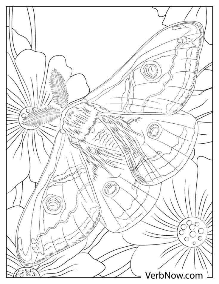 Free Coloring Pages and Books (Download & Printable as PDF) - VerbNow
