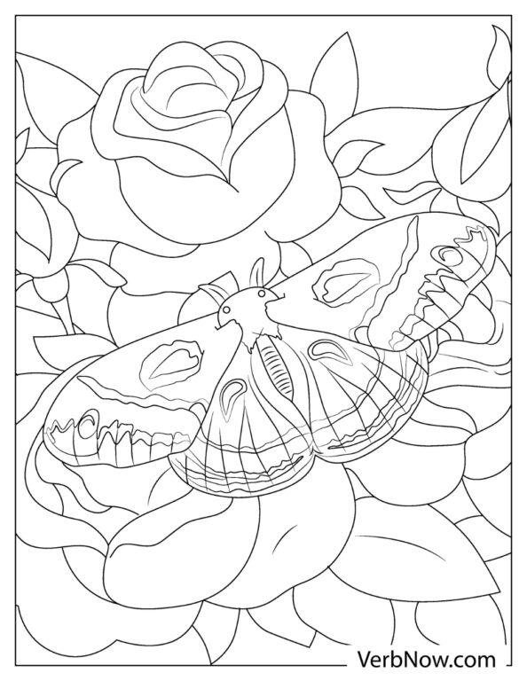 Free MOTH Coloring Pages for Download (Printable PDF)