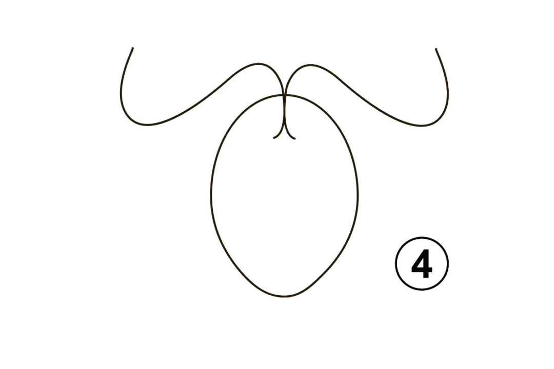 How to Draw an Ox in 10 Easy Steps