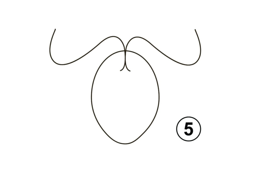 How to Draw an Ox in 10 Easy Steps
