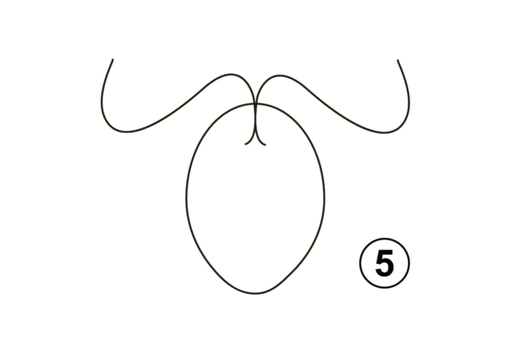 How to Draw an Ox in 10 Easy Steps