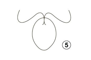 How to Draw an Ox in 10 Easy Steps
