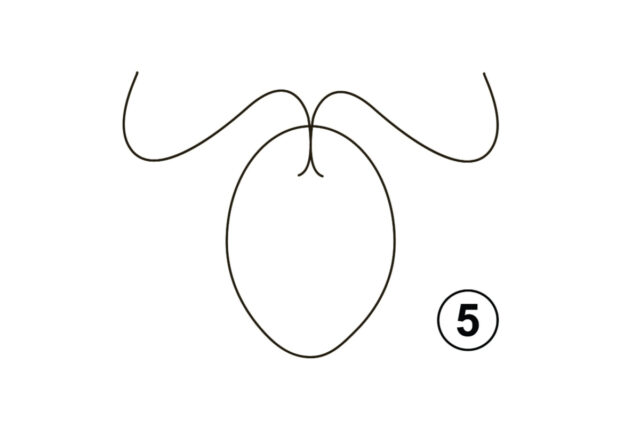How to Draw an Ox in 10 Easy Steps