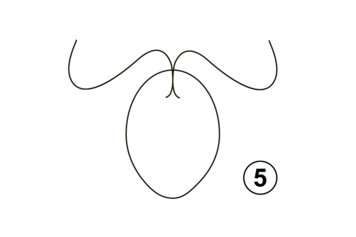How to Draw an Ox in 10 Easy Steps