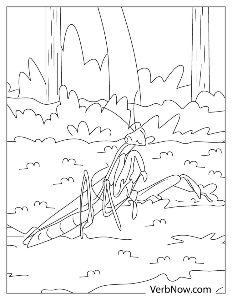 Free PREYING MANTIS Coloring Pages for Download (Printable PDF)