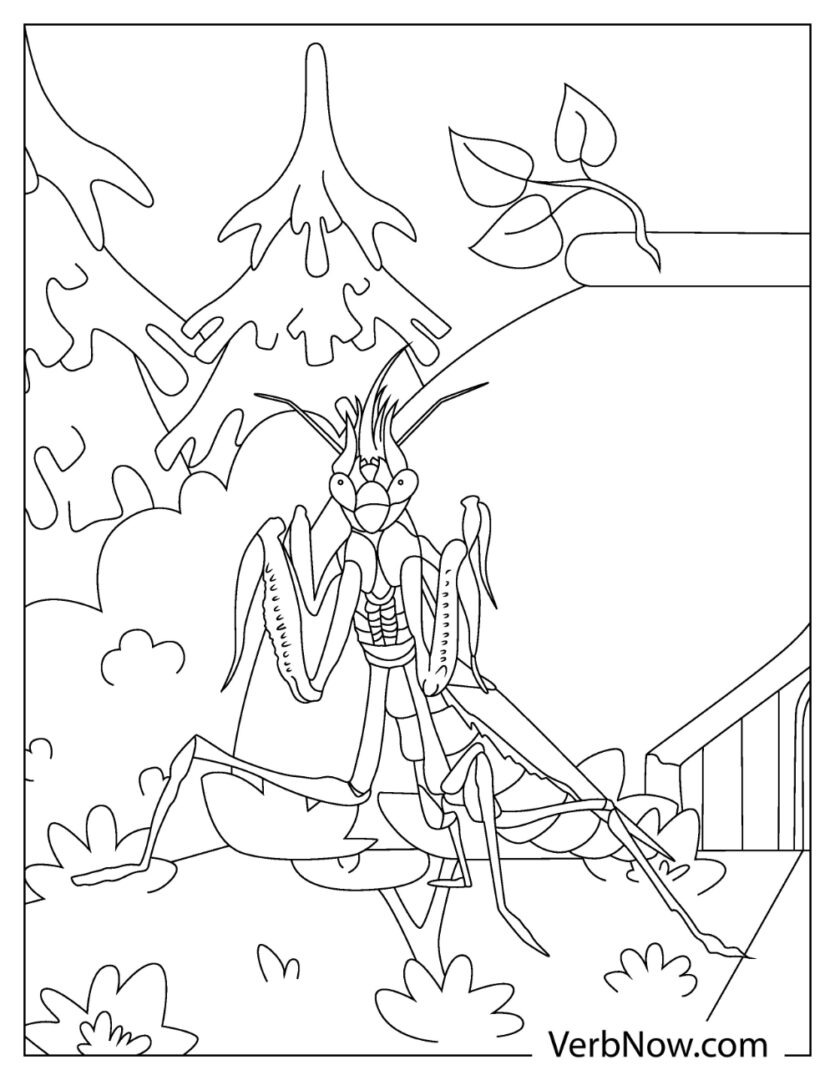 Free PREYING MANTIS Coloring Pages for Download (Printable PDF)