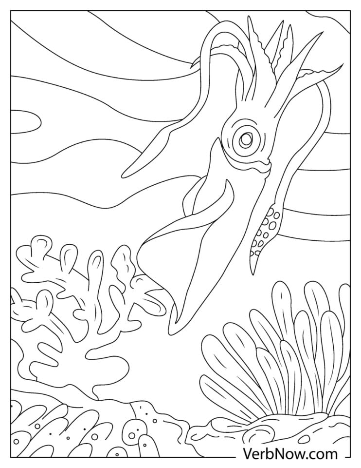 Free SQUID Coloring Pages for Download (Printable PDF)
