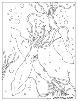 Free SQUID Coloring Pages & Book for Download (Printable PDF) - VerbNow