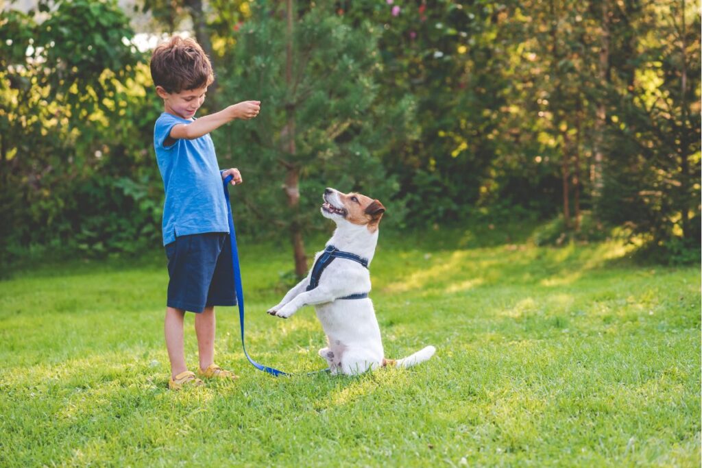 How to Teach Kids to Train a Dog: An Easy Step-by-Step Guide - VerbNow