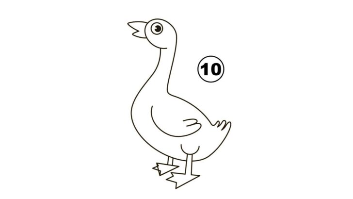 How to Draw a Goose in 12 Easy Steps