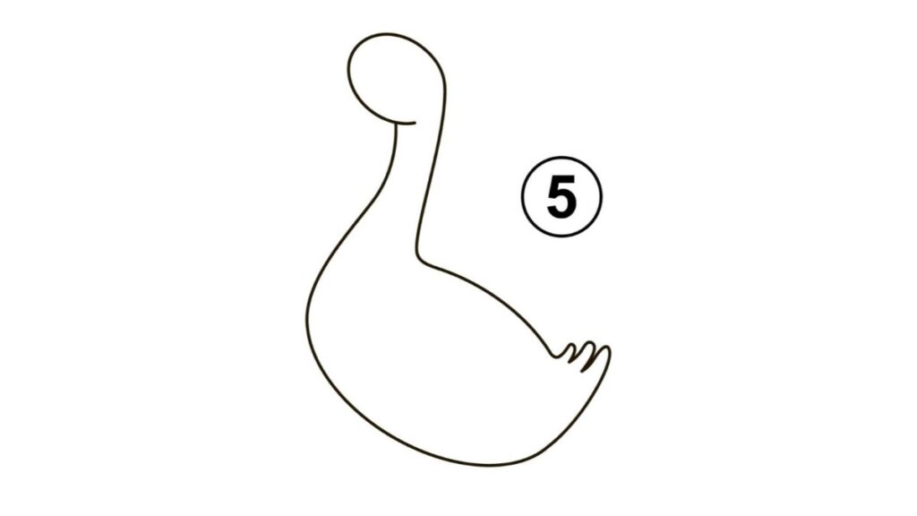 How to Draw a Goose in 12 Easy Steps