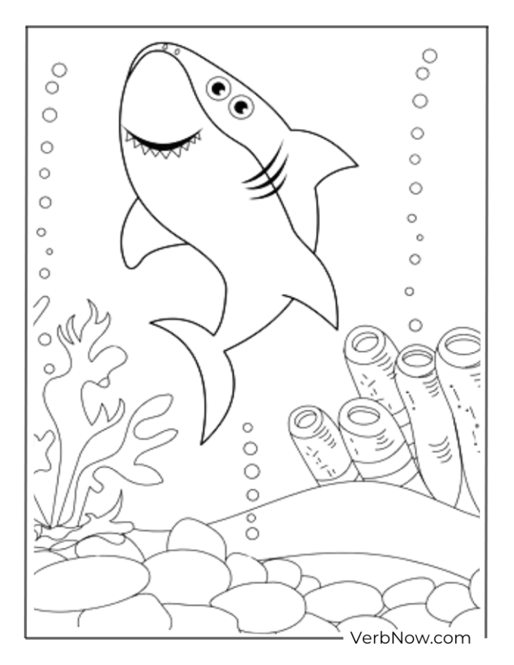 Free SHARKS Coloring Pages for Download (Printable PDF)