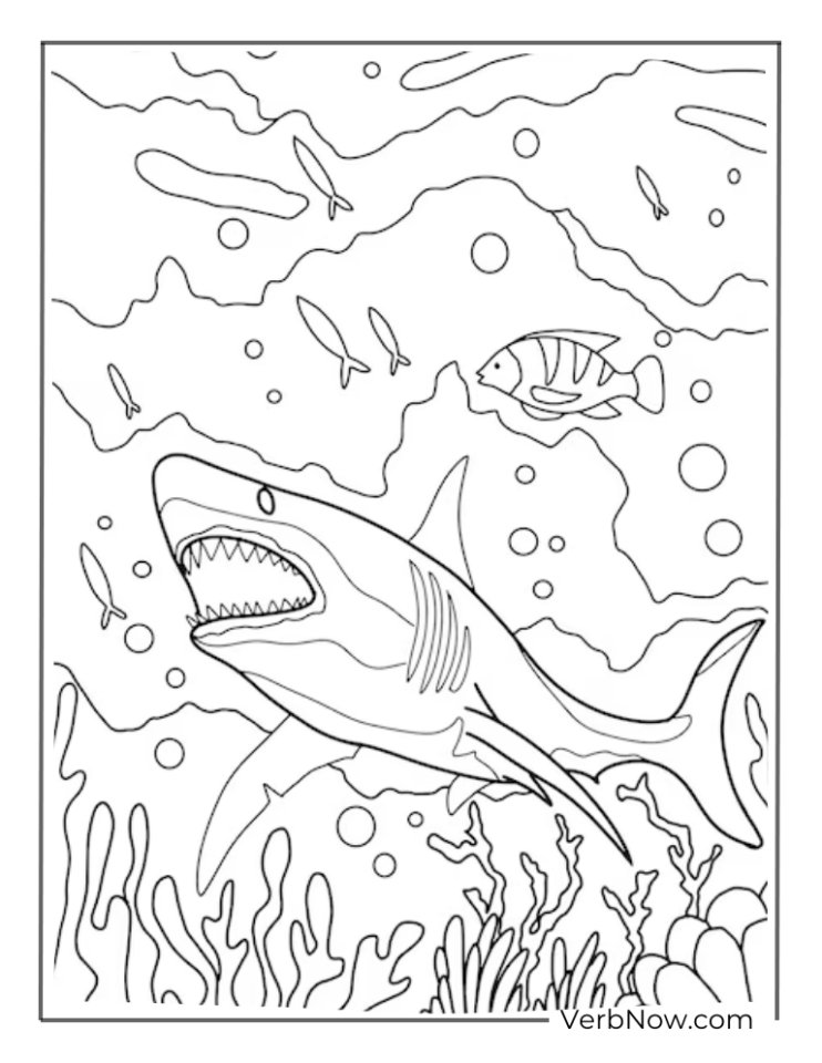 Free SHARKS Coloring Pages for Download (Printable PDF)
